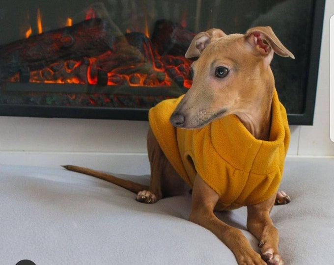 Custom Faux Sherpa Italian Greyhound Outfits - Etsy