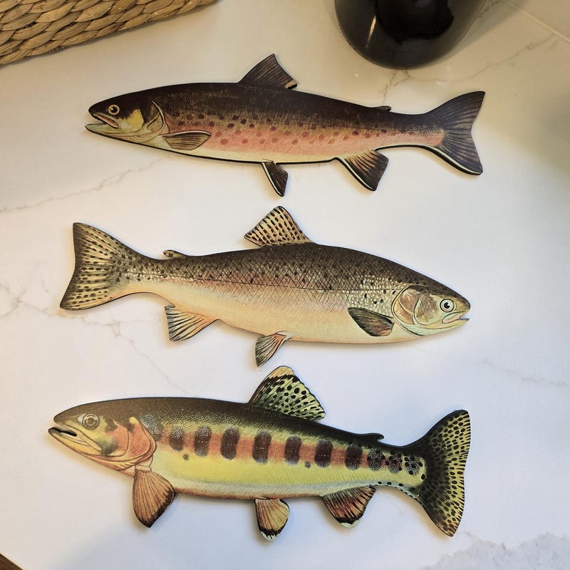 Painted Wood Fish - Etsy