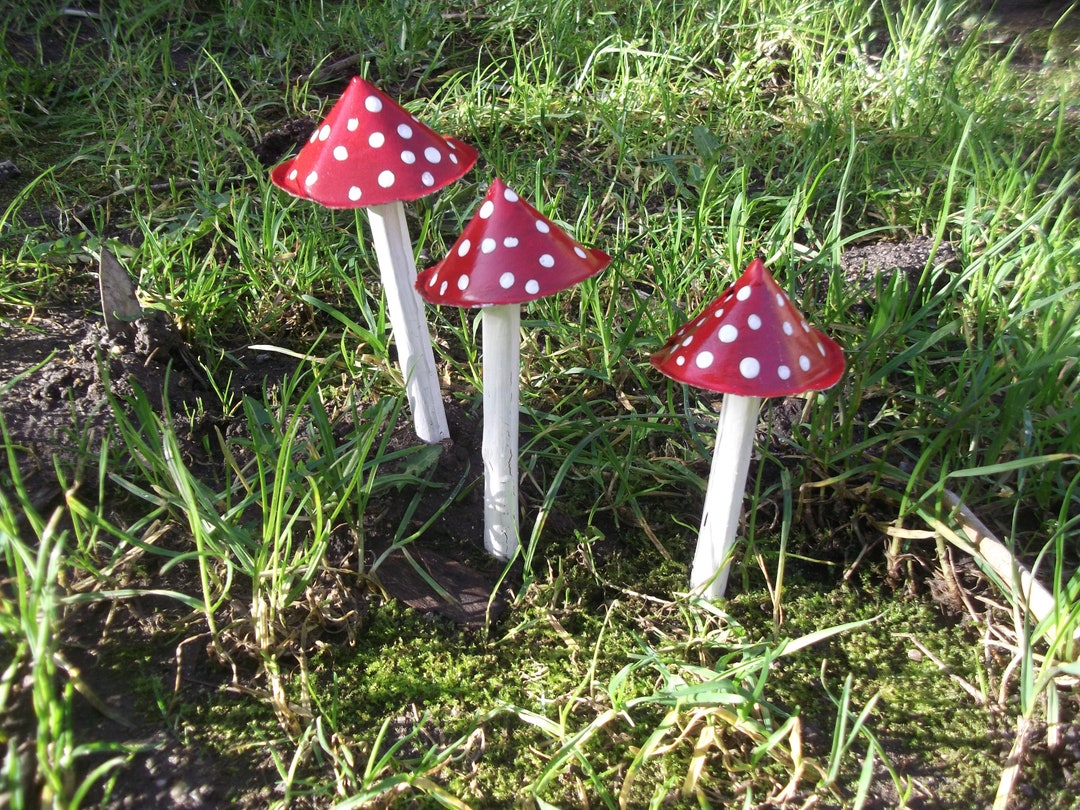 Fairy Toadstools - Etsy UK