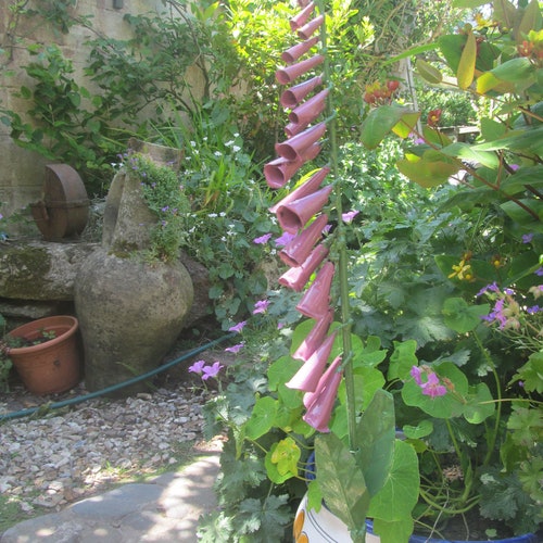 Stone Garden Beautiful Small Half Face Modern Art Statue | Etsy UK