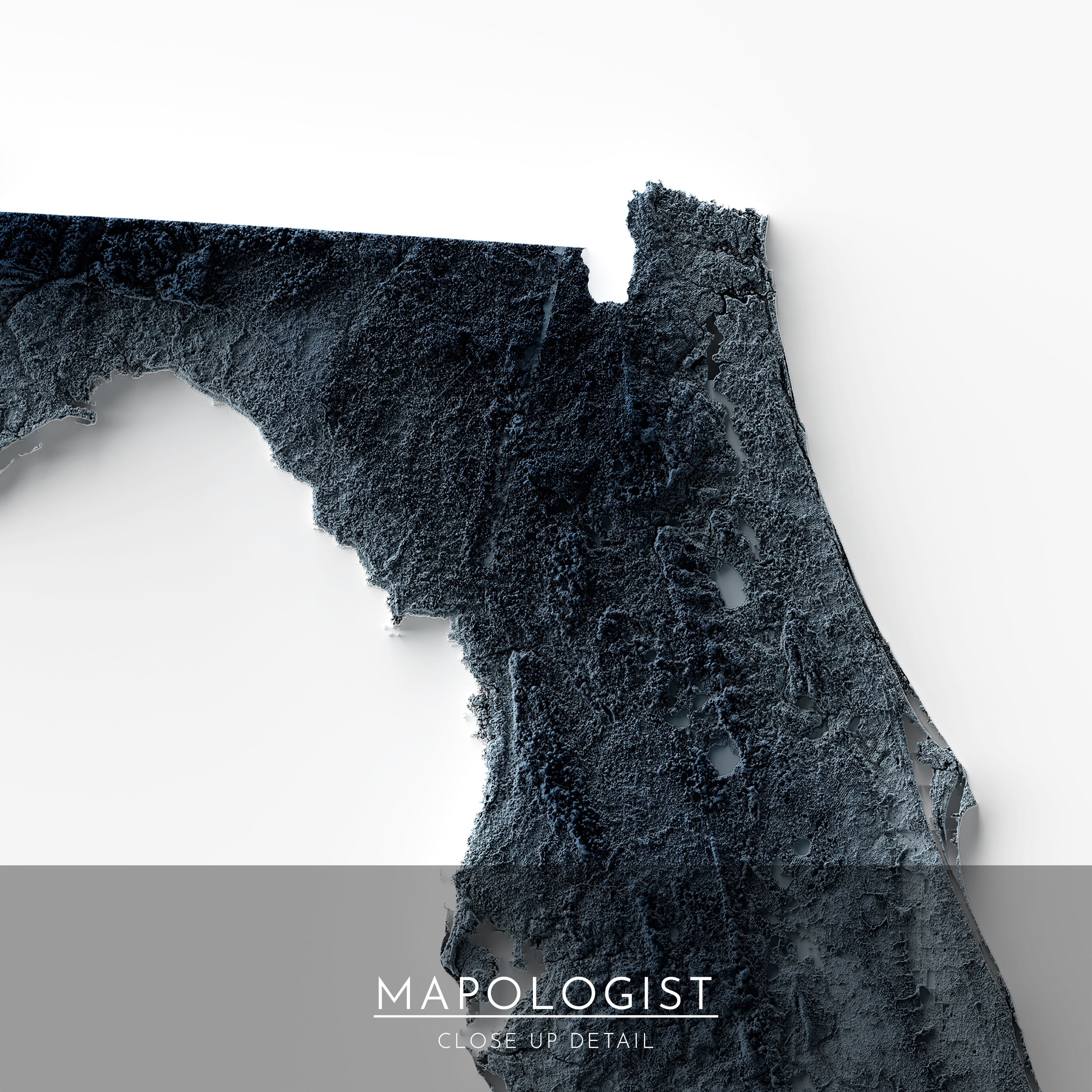 Florida Map, Elevation Map Print, Map Artwork, Florida Landscape ...