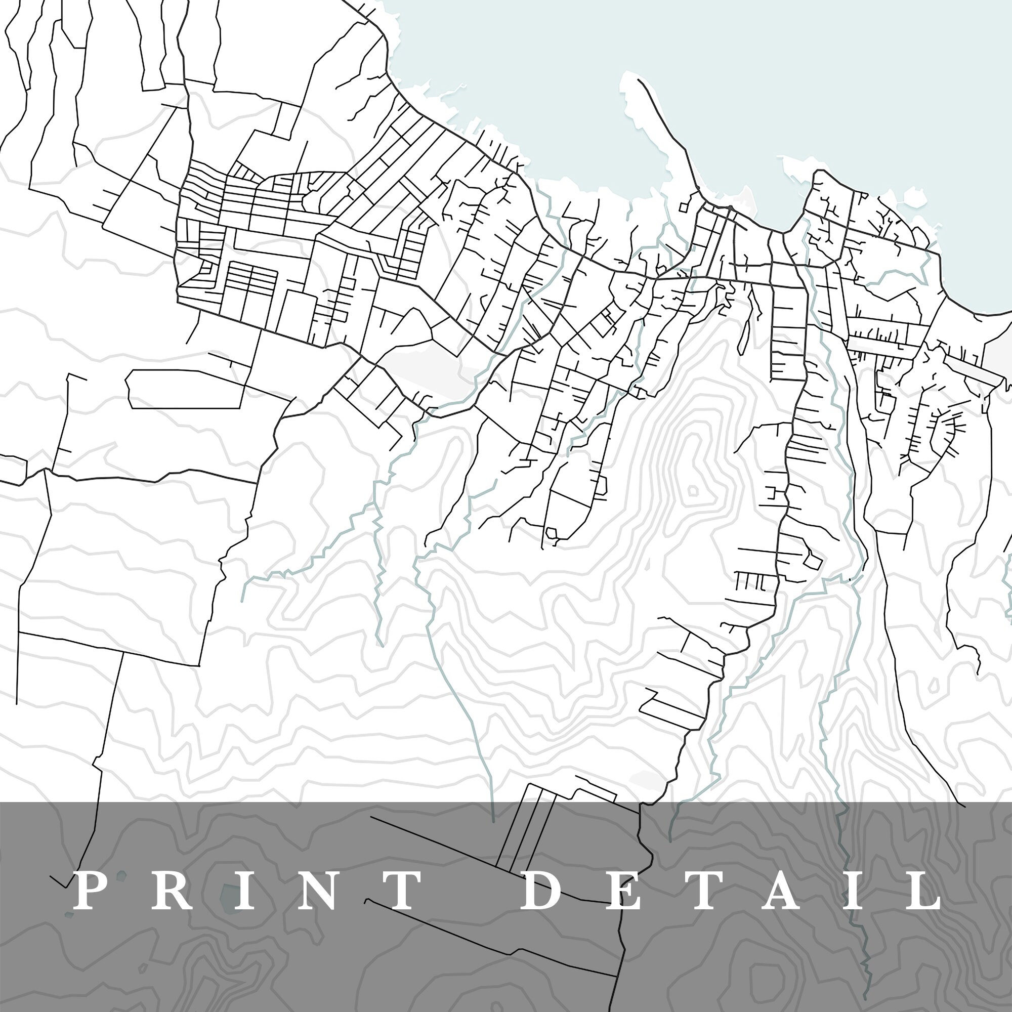 Apia Map Apia Samoa City Map Home Town Map Apia Print | Etsy