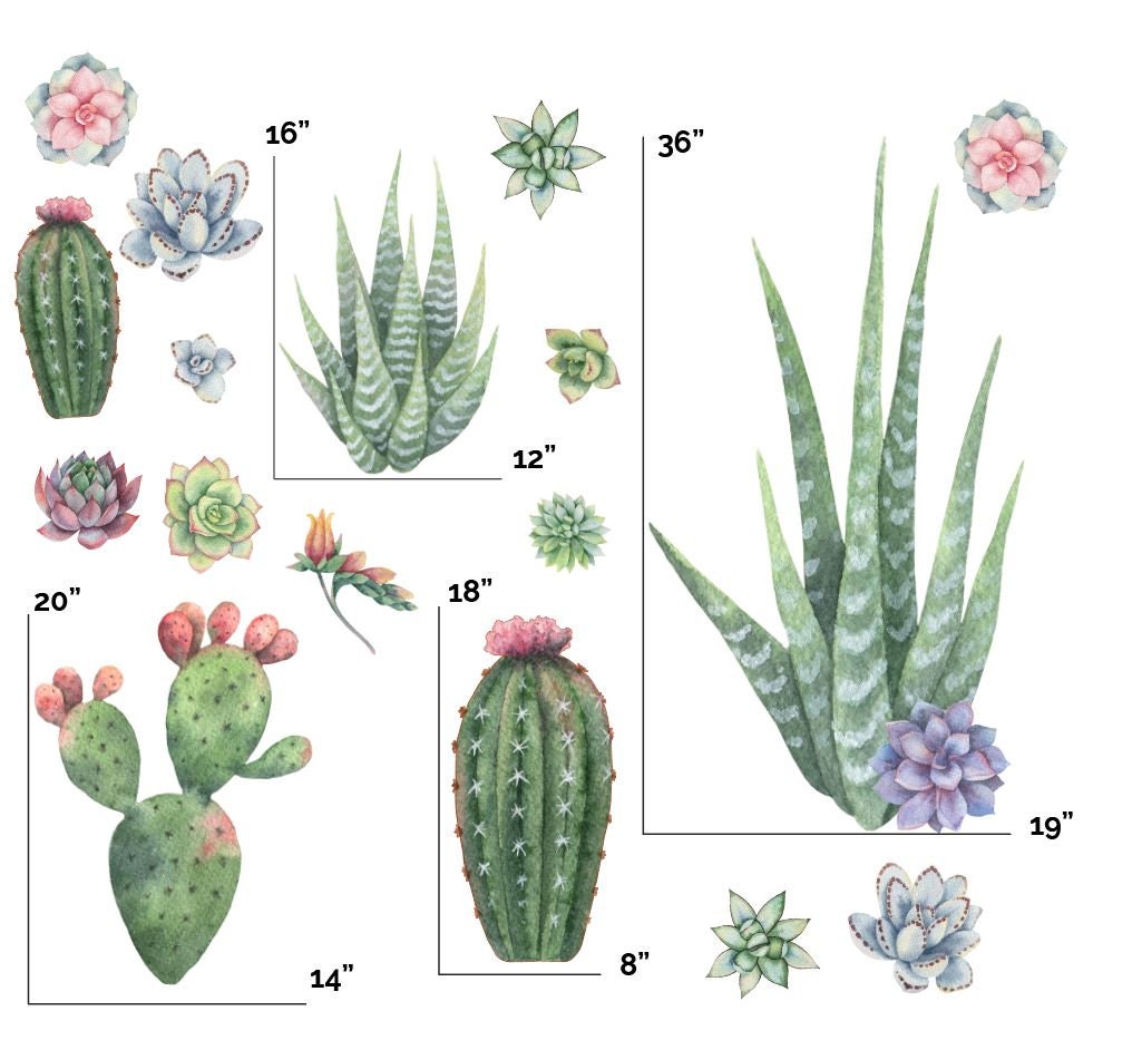 Cactus Wall Decals Succulent Removable Wallpaper Stickers Succa Cacti ...
