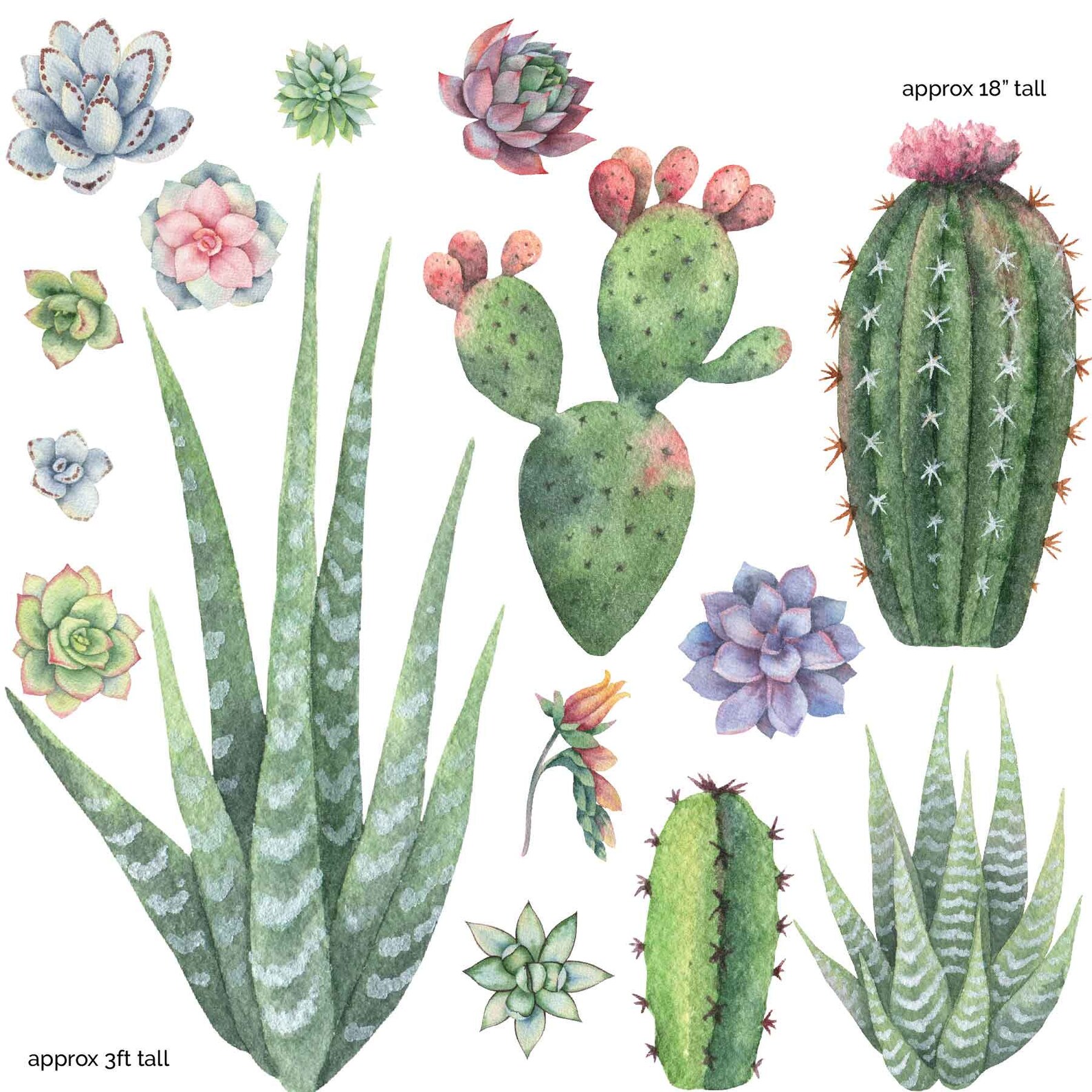 Cactus Wall Decals Succulent Removable Wallpaper Stickers | Etsy