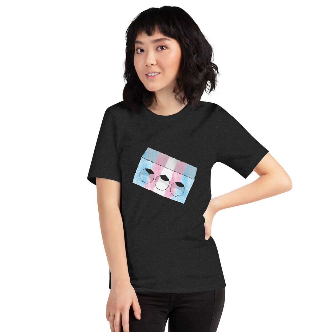 Trans Brick Trans Pride Flag T-shirt LGBTQ Gay Pride - Etsy