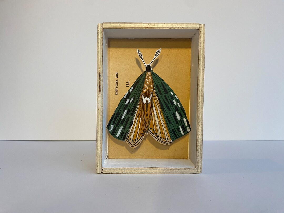 Moth in a Box. Handcrafted Drypoint Etching. Papercut Into a Natural ...