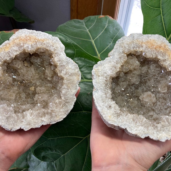 Split Geode Halves - Etsy