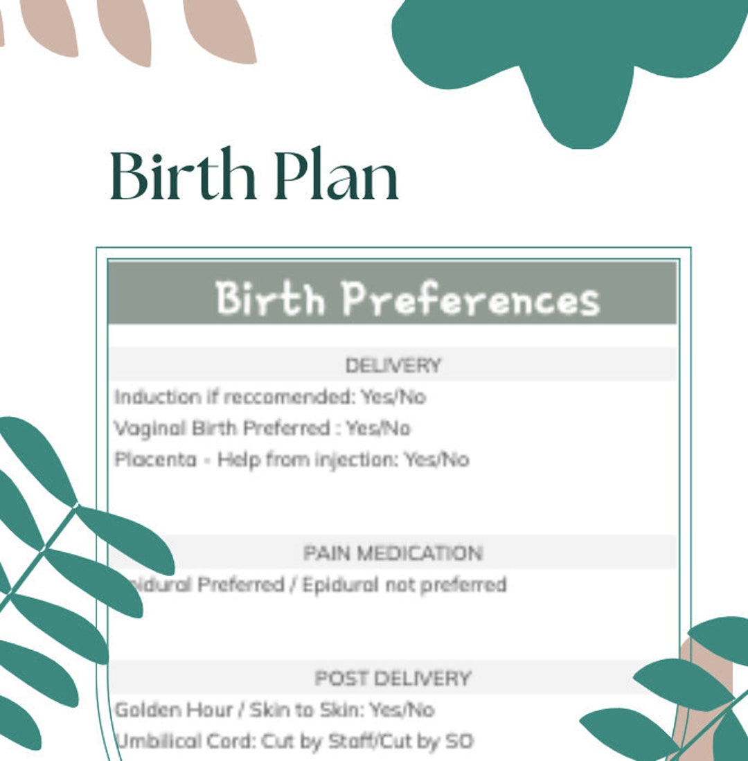 Pregnancy Hospital Birth Plan / Birth Preferences - Google Sheet - Etsy