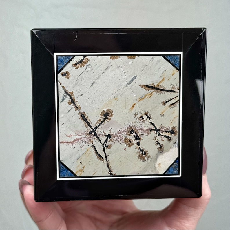 Tucson Find! - Picture Jasper & Black Serpentine Square Box - #T5 - Etsy