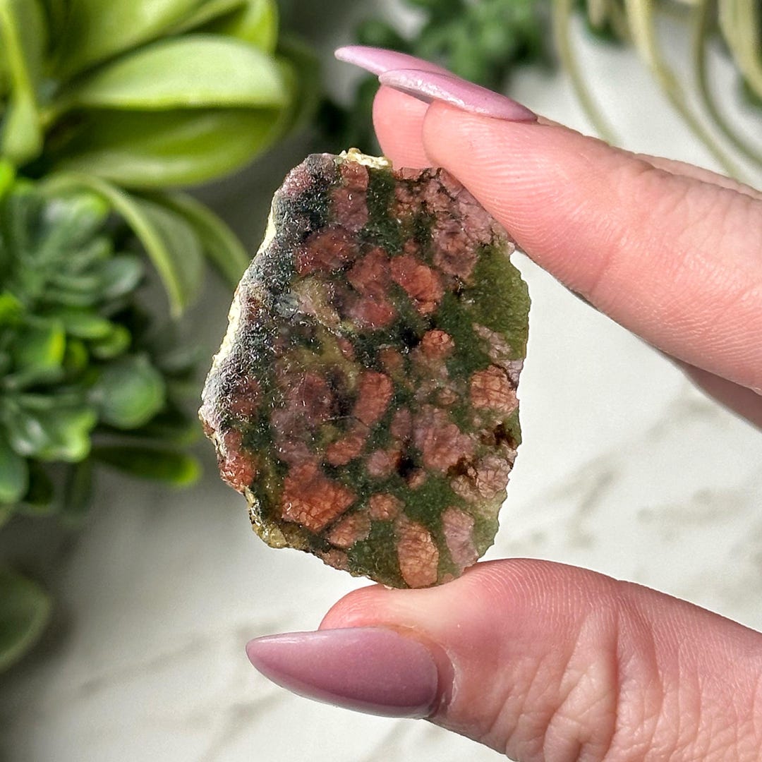 RARE Pyrope, Diopside, and Enstatite Slab - #7 - Etsy