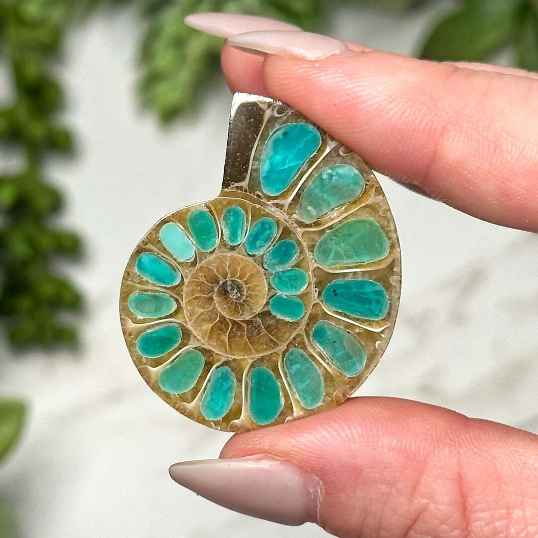 Gem Silica Ammonite Inlay - #111 - Etsy
