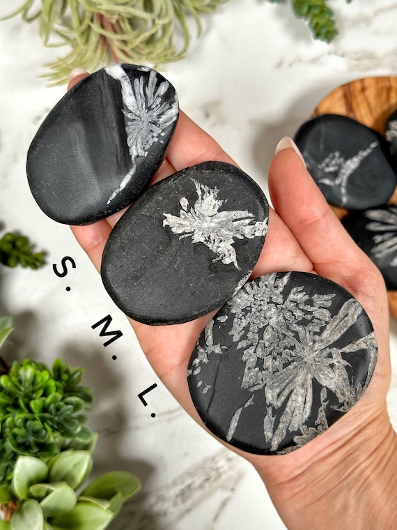 Chrysanthemum Palm Stone - No. 110 - Etsy Chrysanthemum Palm Stone - No. 110 - Etsy
