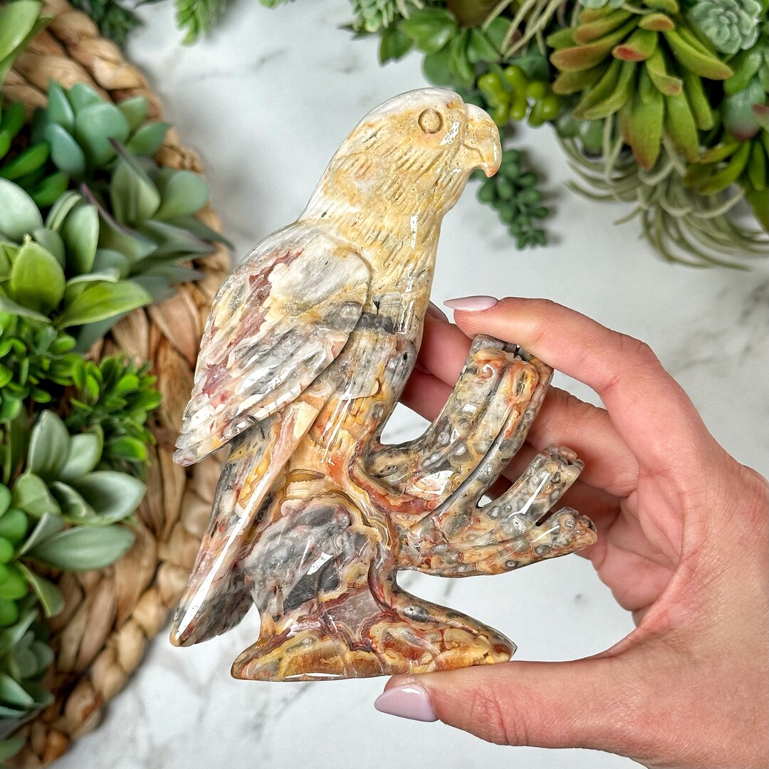 Mexican Crazy Lace Agate Parrot 2 - Etsy