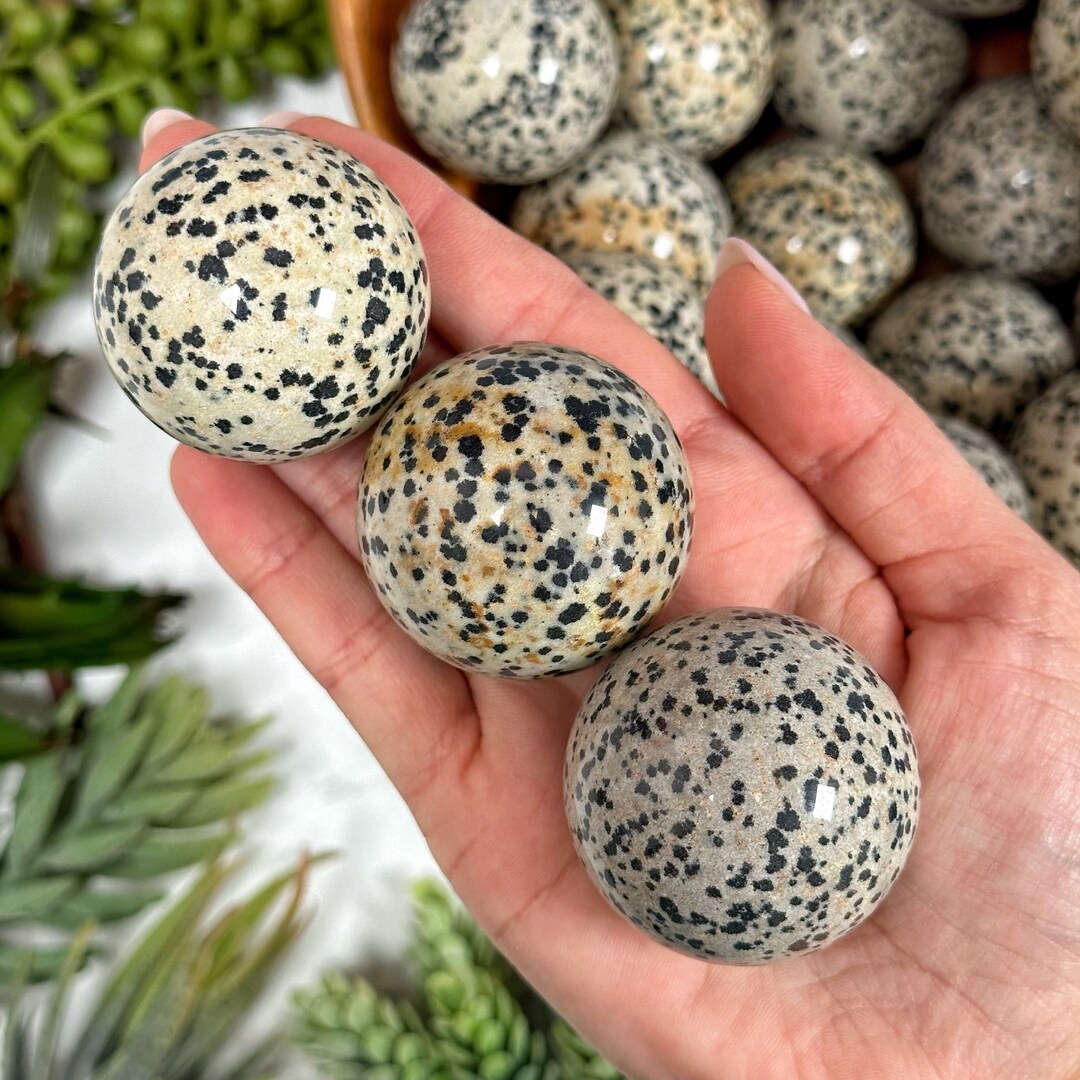 Dalmatian Jasper Sphere - Root Chakra - No. 514 - Etsy