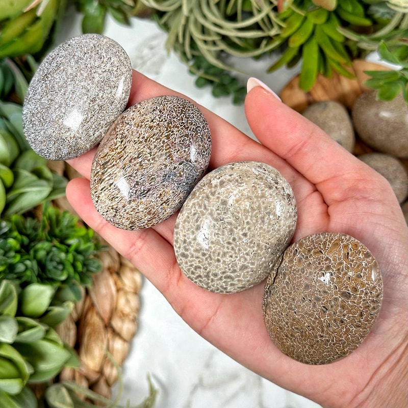 Bone Stone - Etsy