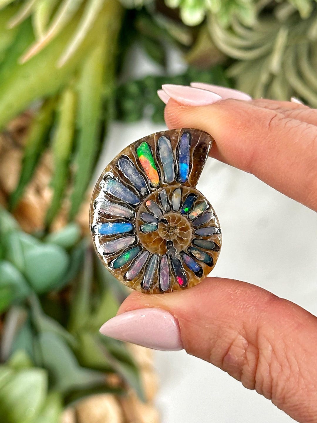Ethiopian Opal Ammonite Inlay 2 - Etsy