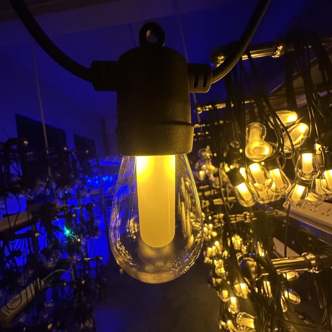 Solar Flame String Lights 48' LED Effect Light Fire Candle Effect ...