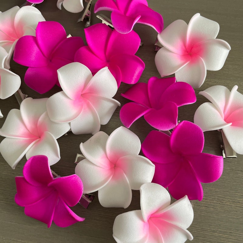 Hawaiian Hair Clips - Etsy