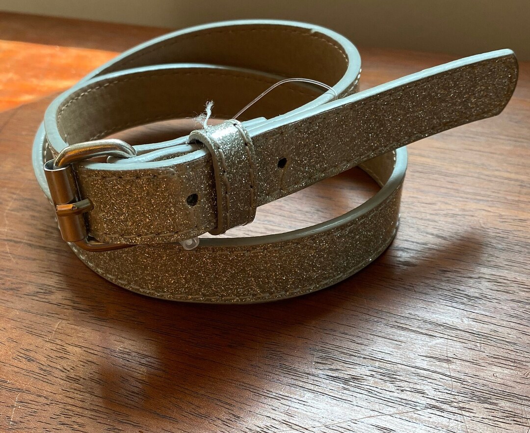 Vintage 2000s Glitter Belt Shiny Belt Silver Belt Size - Etsy
