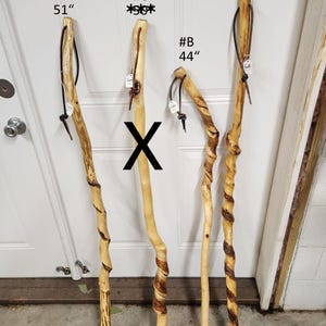 Naturally Twisted Walking Sticks - Etsy