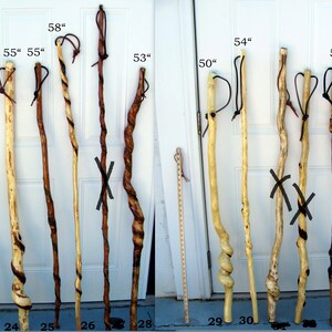 Naturally Twisted Walking Sticks - Etsy