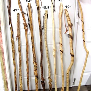 Naturally Twisted Walking Sticks - Etsy