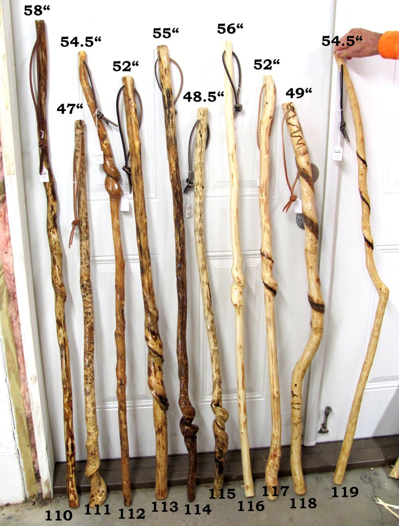 Naturally Twisted Walking Sticks - Etsy
