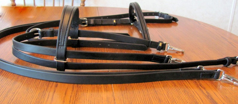 Quick-change Horse Bridle - Etsy