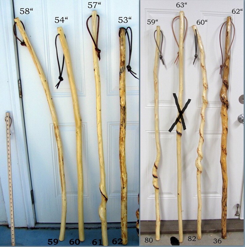 Naturally Twisted Walking Sticks - Etsy