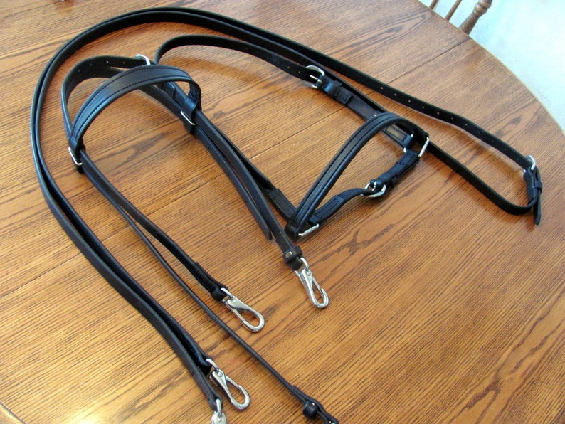 Quick-change Horse Bridle - Etsy