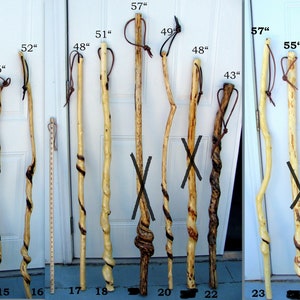 Naturally Twisted Walking Sticks - Etsy