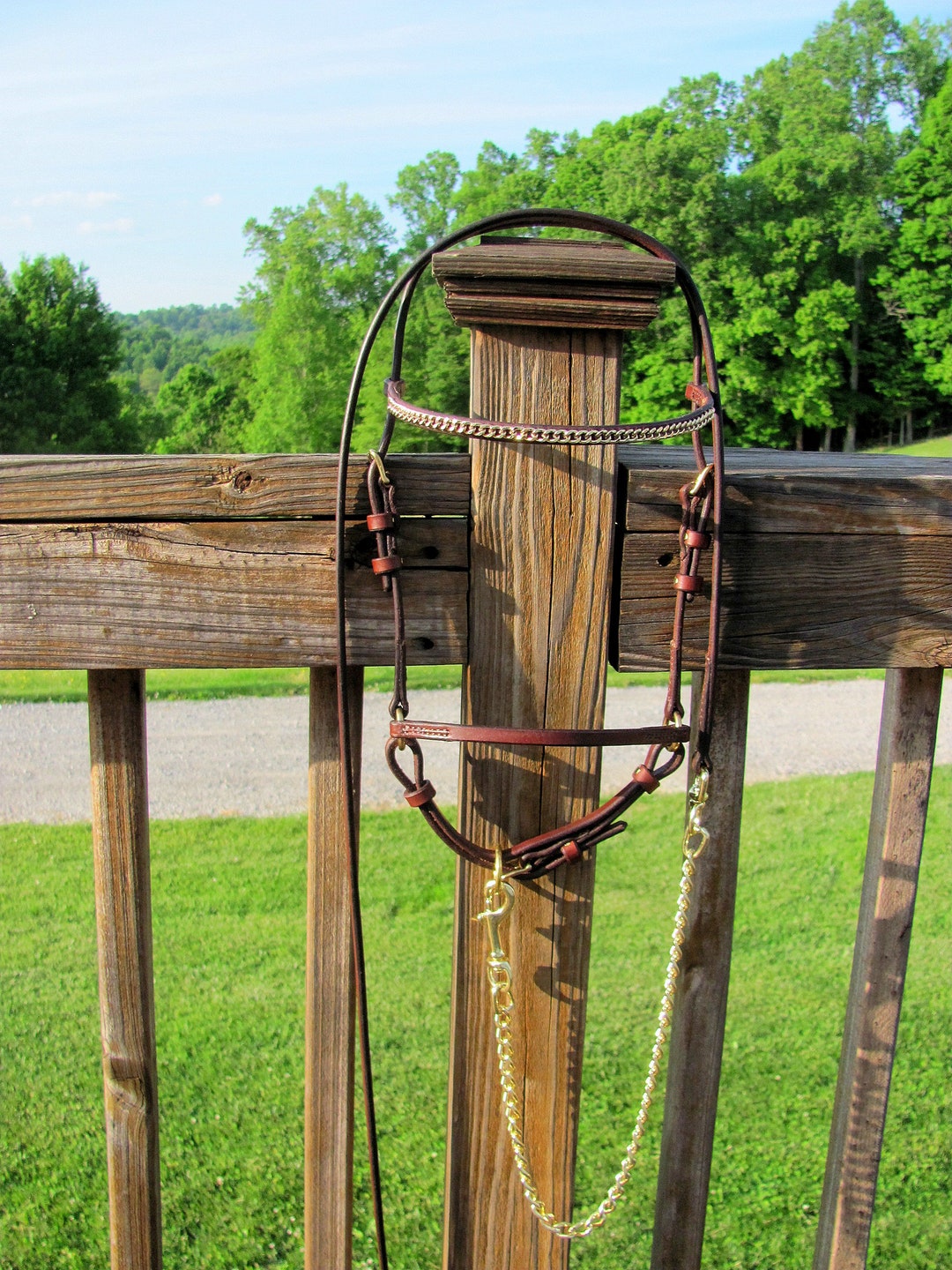 Hackney Pony Show Halter y plomo - Etsy España