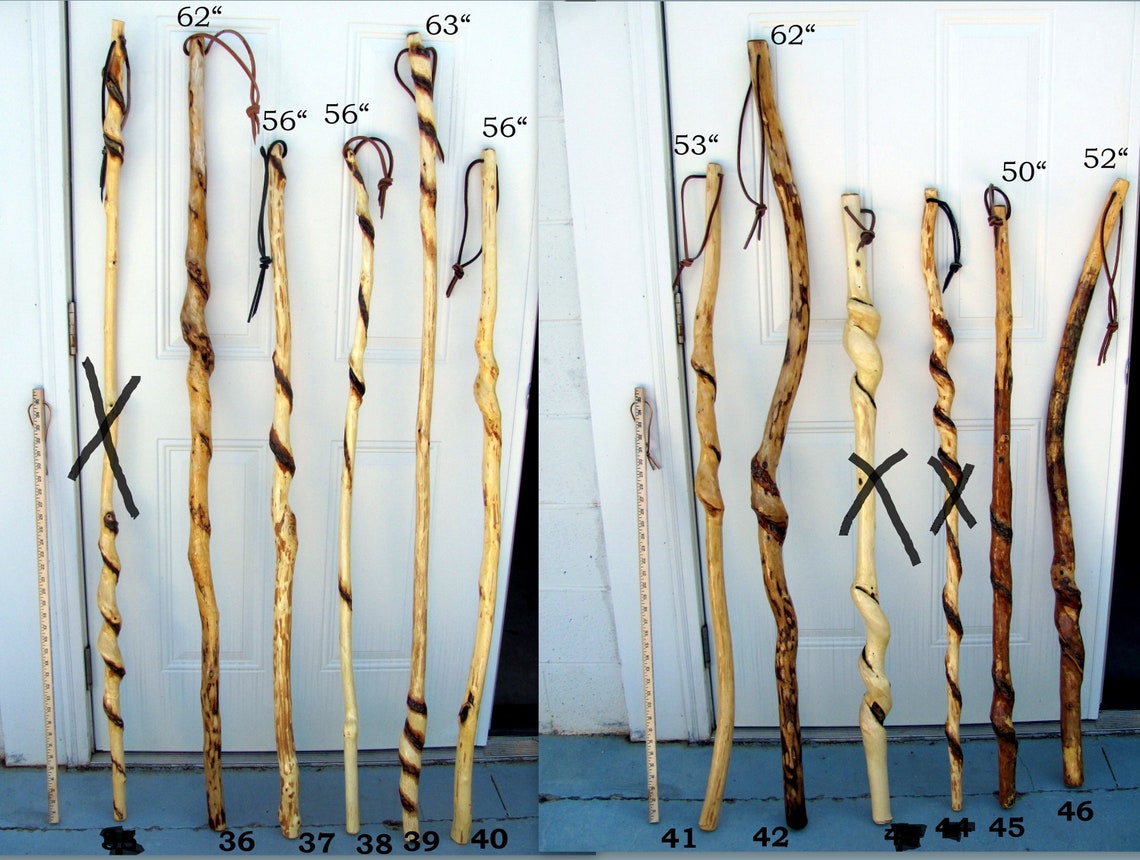 Naturally Twisted Walking Sticks - Etsy