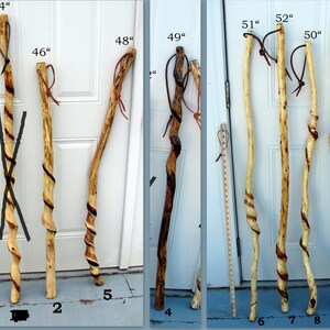 Naturally Twisted Walking Sticks - Etsy