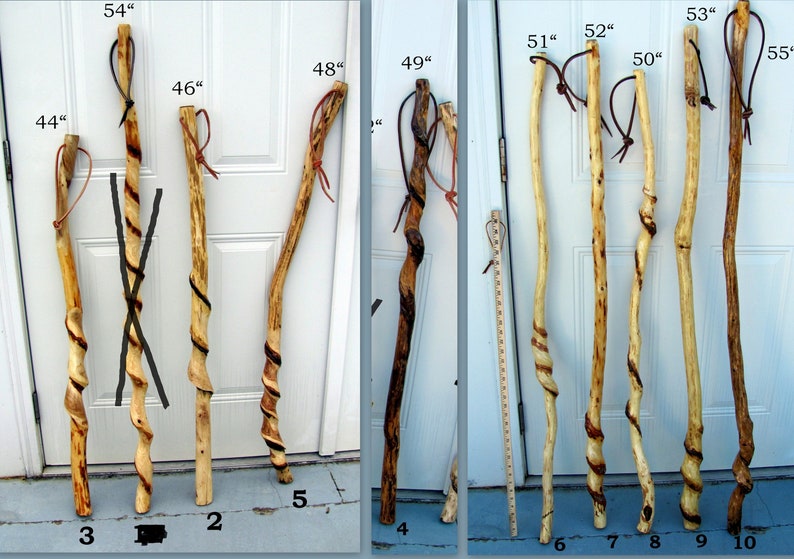 Naturally Twisted Walking Sticks - Etsy