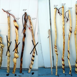 Naturally Twisted Walking Sticks - Etsy