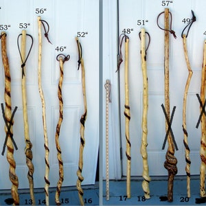 Naturally Twisted Walking Sticks - Etsy
