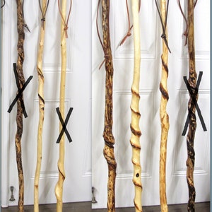 Naturally Twisted Walking Sticks - Etsy