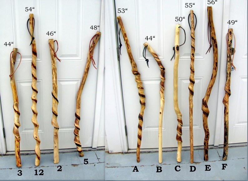 Naturally Twisted Walking Sticks - Etsy
