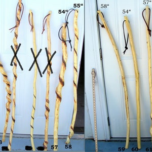 Naturally Twisted Walking Sticks - Etsy