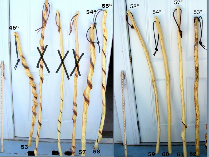 Naturally Twisted Walking Sticks - Etsy