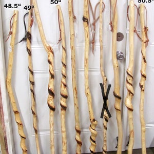 Naturally Twisted Walking Sticks - Etsy