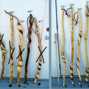 Naturally Twisted Walking Sticks - Etsy
