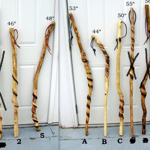 Naturally Twisted Walking Sticks - Etsy