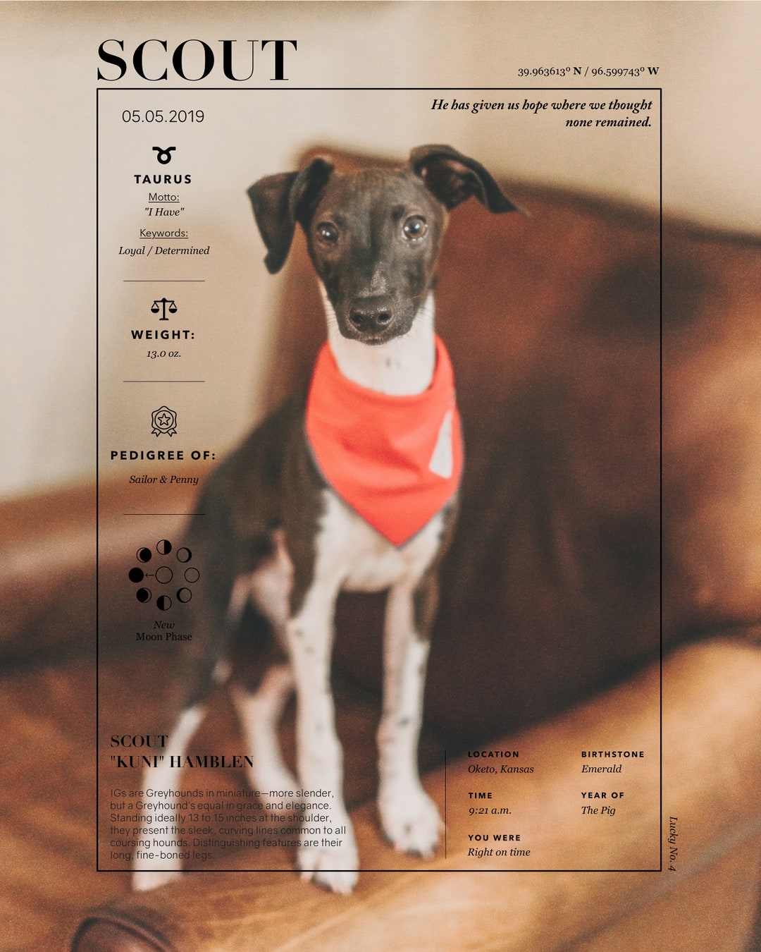 Custom Pet Poster - Etsy
