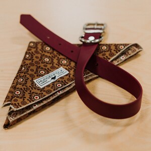 Chicago Collar / Vegan Leather Alternative Dog Collar/ - Etsy