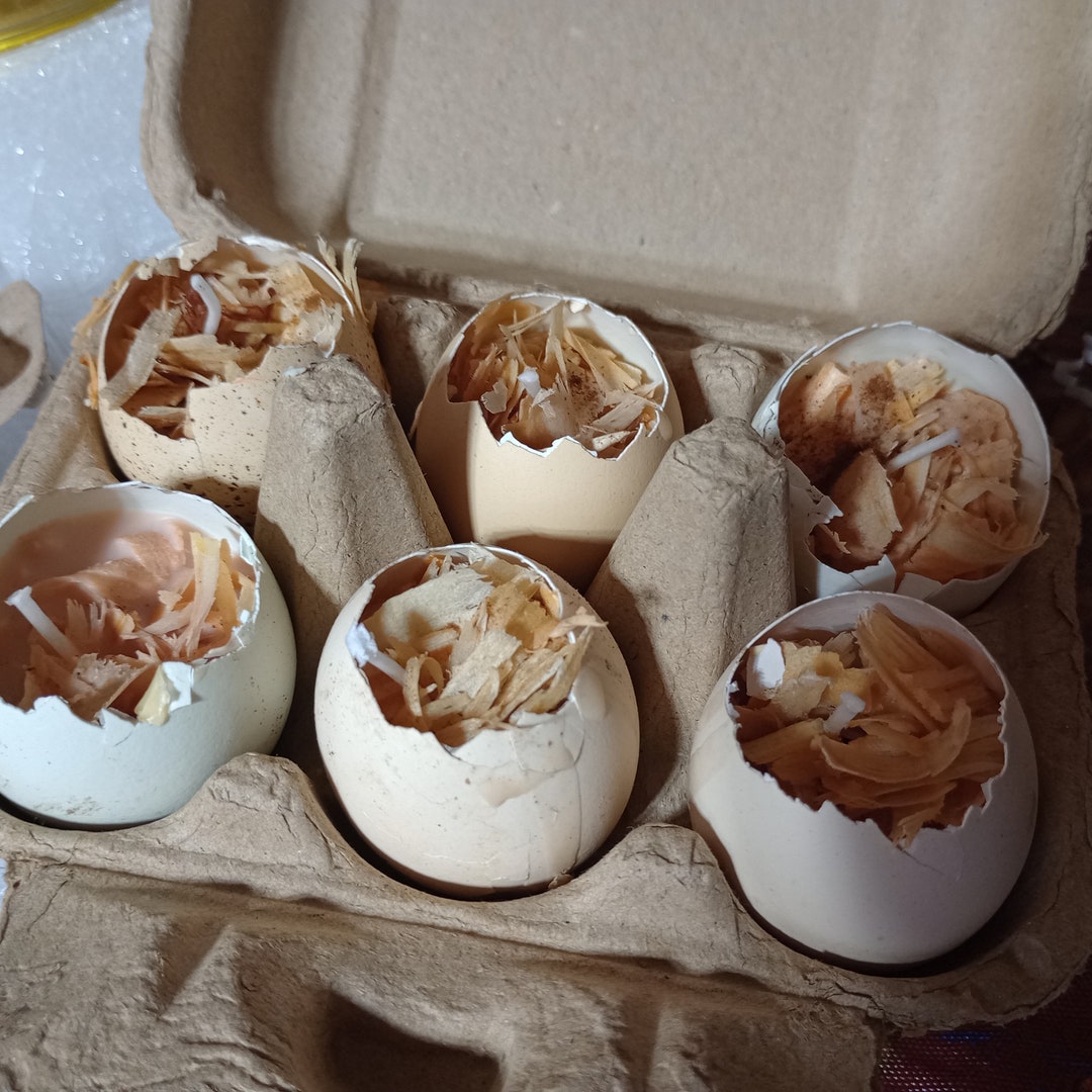 Eggshell Fire Starter, Bug Deterrent, Coffee Clove Scent - Etsy