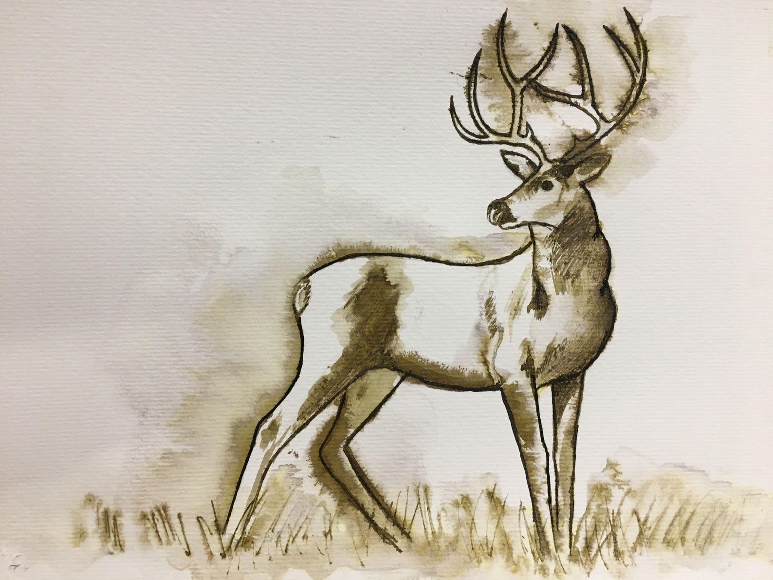Original Deer ink drawing on paper A4 size unframed | Etsy