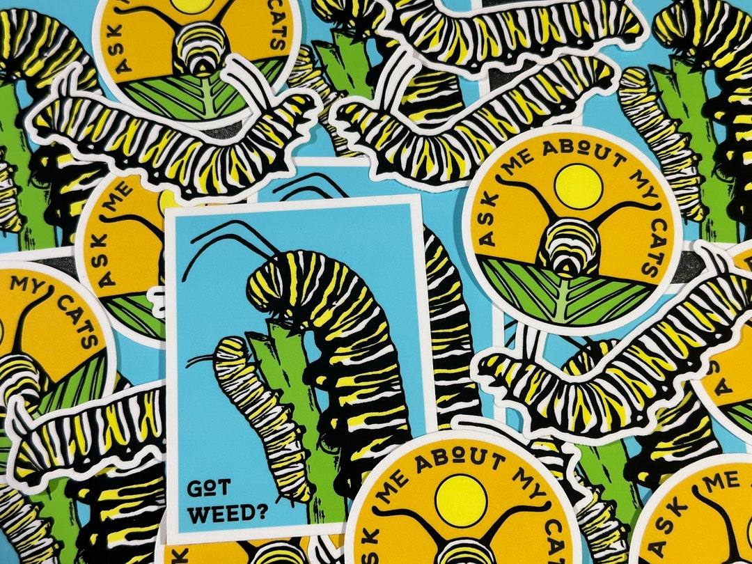MONARCH CATERPILLAR STICKER 5 Pack Butterfly Milkweed Outdoor Uv Vinyl ...