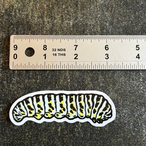 MIDWEST CATS Caterpillar 8 Sticker Pack Monarch Swallowtail Outdoor Uv ...